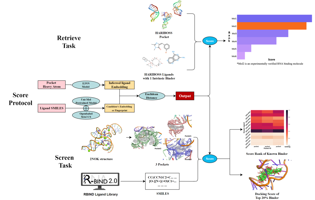 AI4S新进展 | 深势科技在NeurIPS 2022首次发布在靶向RNA小分子领域的最新成果 - 知乎
