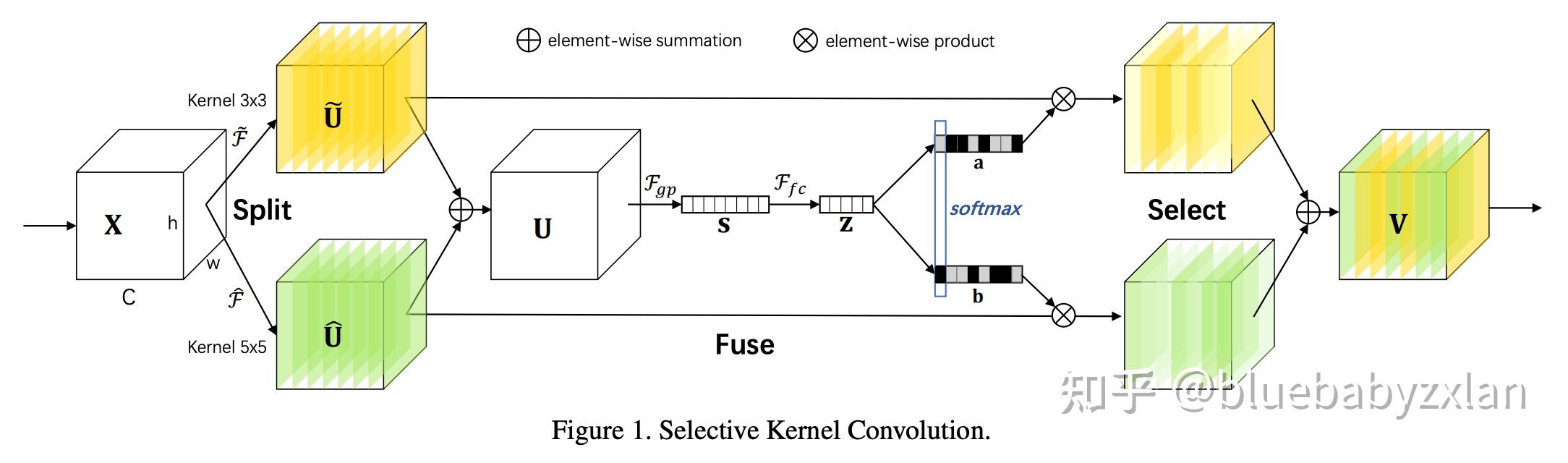 解读SKNet - 知乎