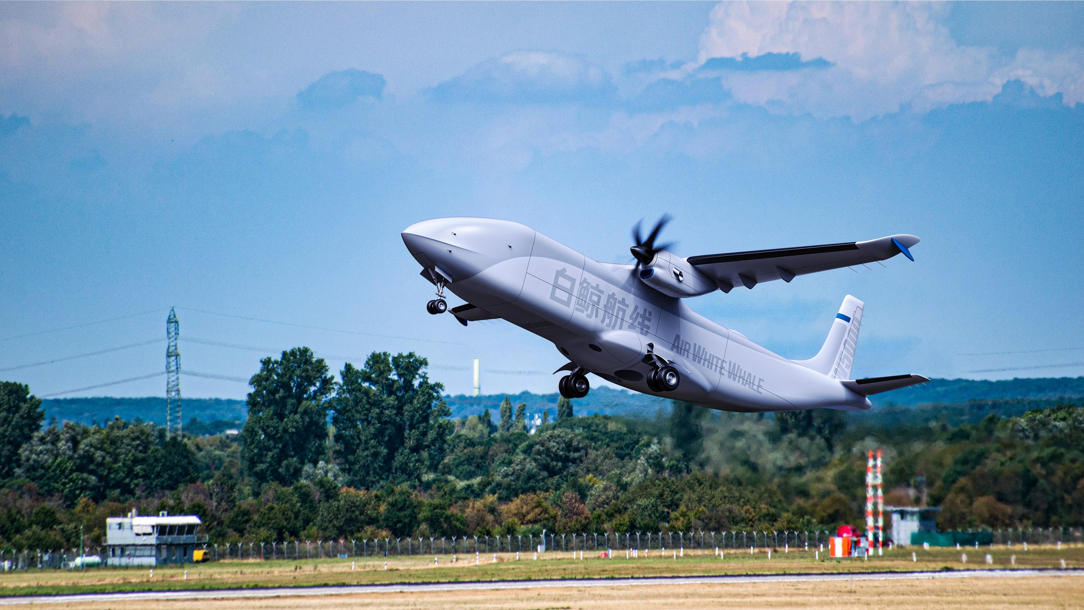 白鲸航线 - 知乎