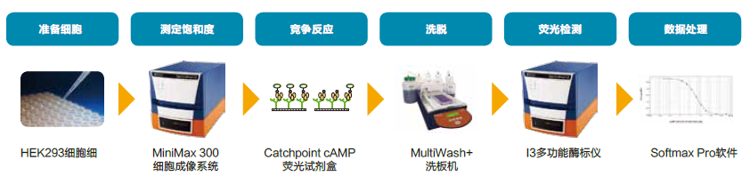 CatchPoint cAMP荧光检测试剂盒应用方案解析 - 知乎