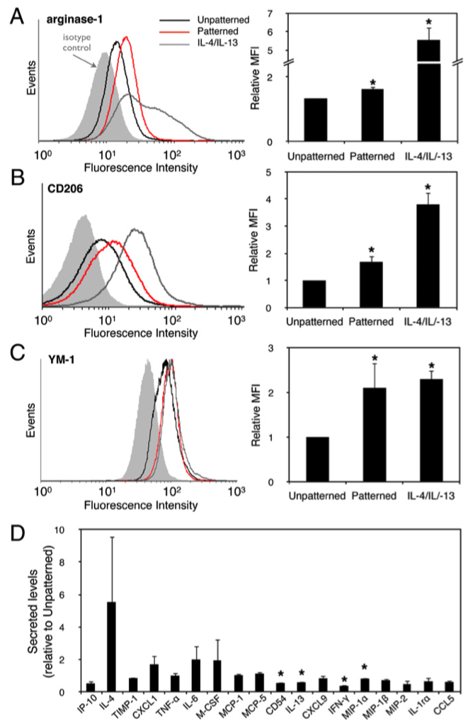 PNAS丨M1-M2巨噬细胞形态学对比 - 知乎