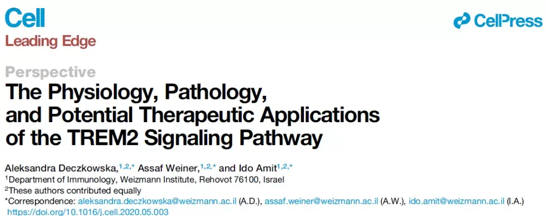 Cell观点 | 髓系细胞免疫信号枢纽——TREM2 - 知乎