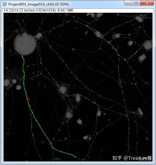 ImageJ实用技巧——Simple Neurite Tracer(插件篇) - 知乎