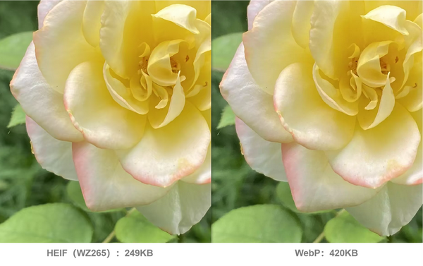 最右×微帧，高质量的HEIF图片编码压缩技术 - 知乎