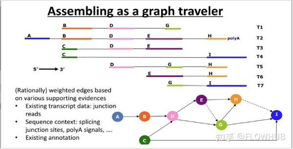 RNA测序数据回贴与组装 （RNA-Seq Mapping& Assembling） - 知乎