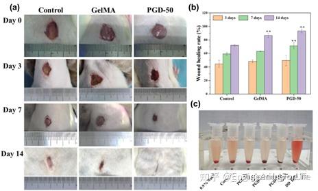 《Nano Research》：PCL纤维/GelMA水凝胶复合敷料用于糖尿病伤口愈合 - 知乎
