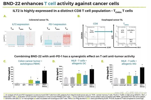 赛诺菲斥资超10亿美元，拿下ILT2抗体！这款新型癌症免疫疗法究竟有何优势？ - 知乎