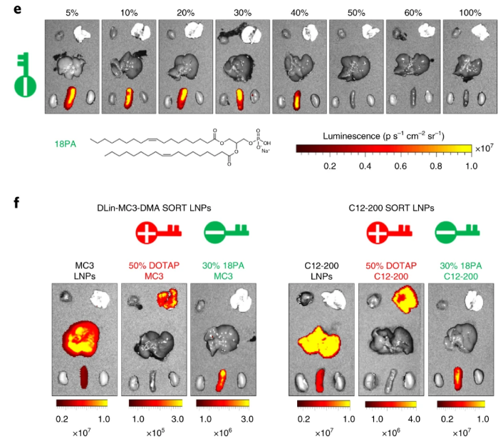 Nat. Nanotechno. | Selective organ targeting (SORT) nanoparticles for ...