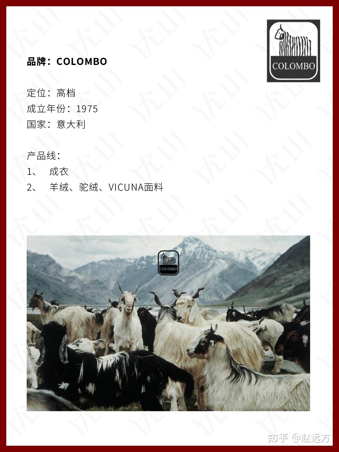 每天认识一个绅装品牌COLOMBO - 知乎