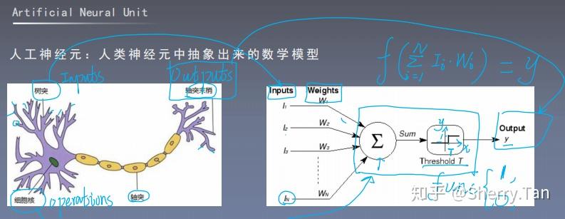 一文了解神经网络MLP(ANN), CNN, RNN - 知乎