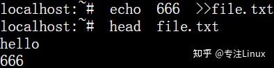 【Linux101-20】echo - 知乎