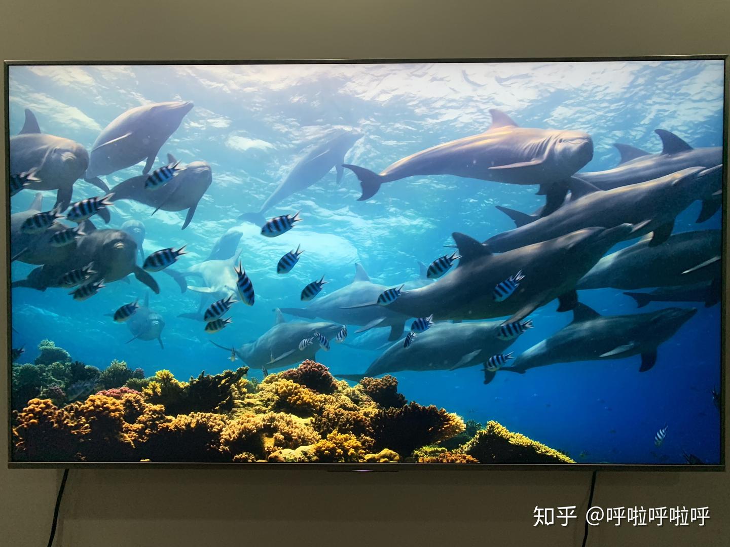 4K厅 篇一：4K纪录片究竟有多少？珍藏好这份全球最全4K超清蓝光纪录片清单（第1-10部） - 知乎