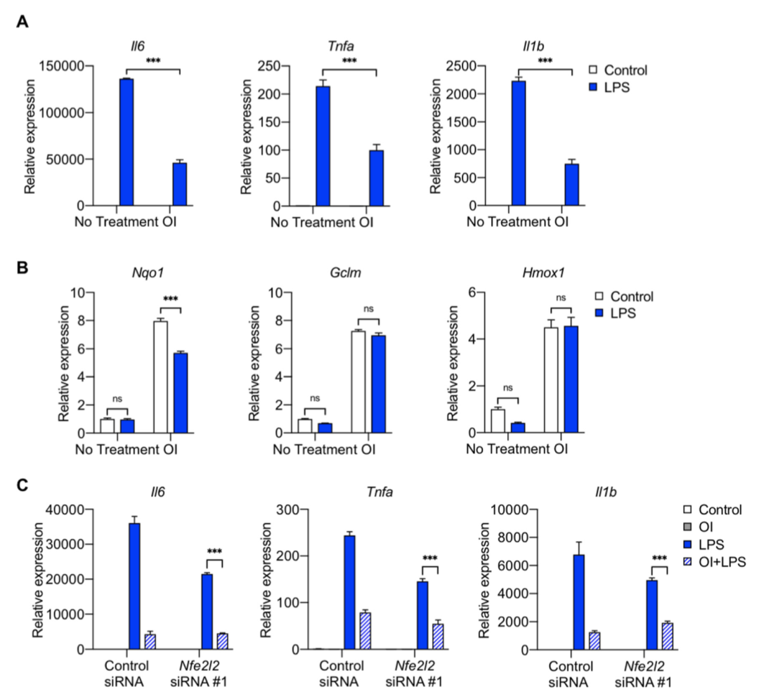 eLife丨内源性衣康酸不发挥抗炎抗氧化应急作用，外源性衣康酸发挥的抗炎作用不依赖Nrf2 - 知乎