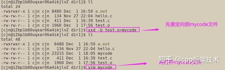 Linux下如何编译C/C++代码？从.c到.exe经历了什么？ - 知乎
