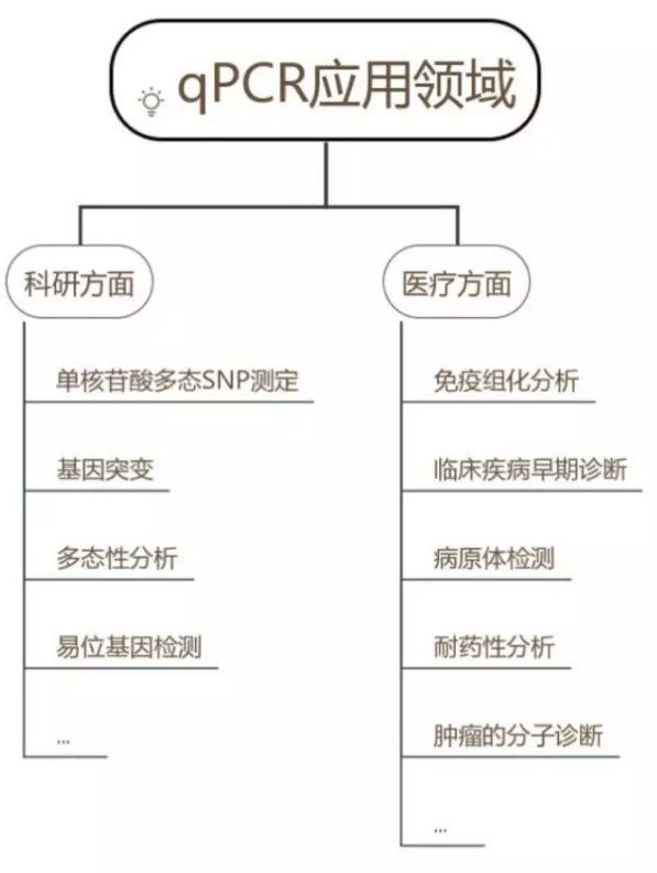从PCR到qPCR——关于理论、应用的演化简史 - 知乎