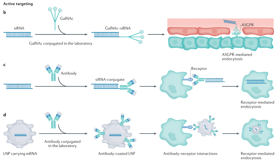 Nat. Rev. Genet. | Drug delivery systems for RNA therapeutics - 知乎