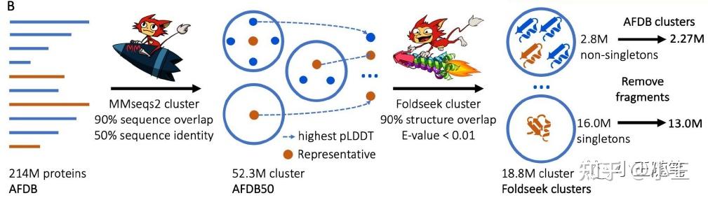 蛋白结构生物信息学的造极：AlphaFold DB的结构挖掘 - 知乎