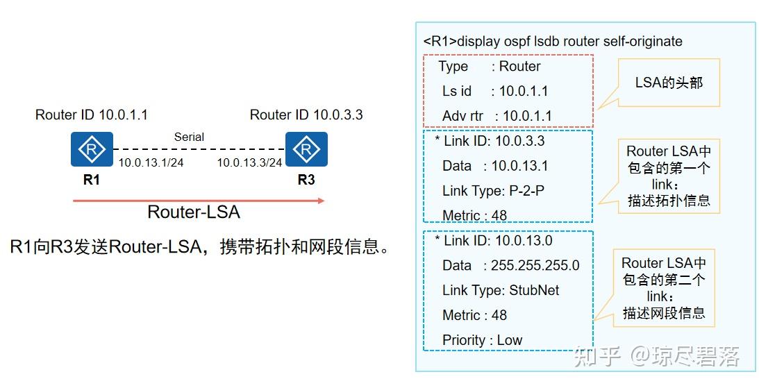 OSPF-1类Router LSA学习 - 知乎