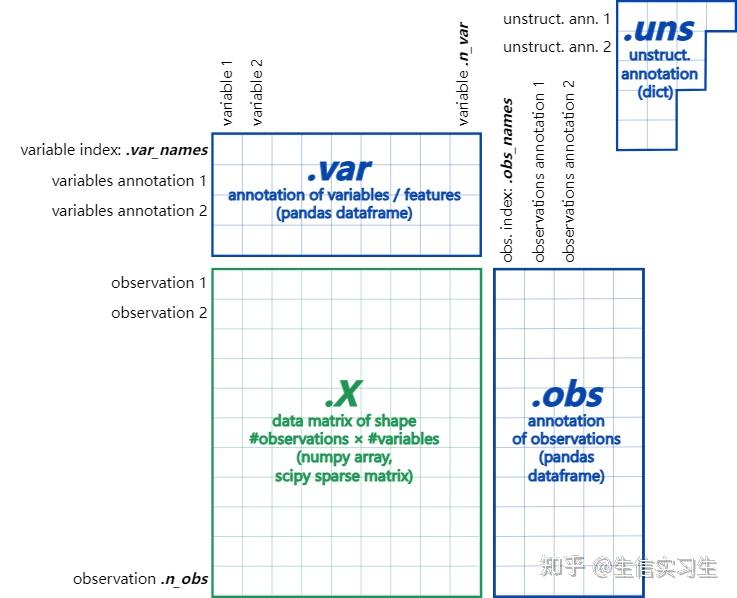 单细胞scVelo动态模型基础教程 - 知乎