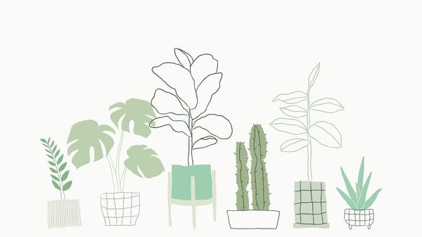 干净简约ins风高清4K电脑锁屏壁纸，手机全面屏壁纸分享 - 知乎