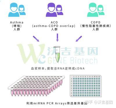 PCR Array让实验变得更简单，发文变得更容易！（沃吉基因文献分享之第二期） - 知乎