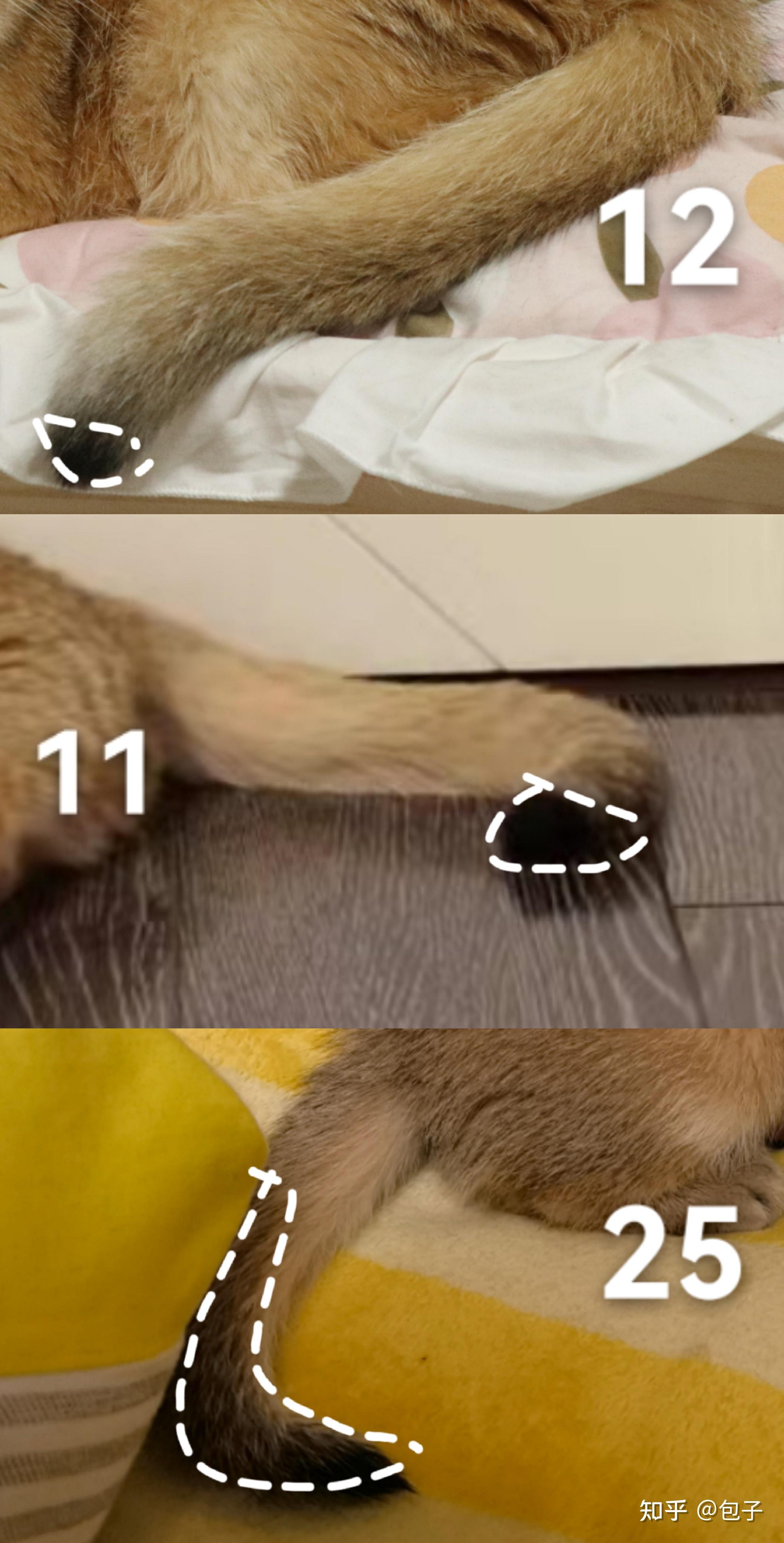 金渐层 | 一分钟教你学会看色号（ny11/ny12/ny25的含义及判断） - 知乎