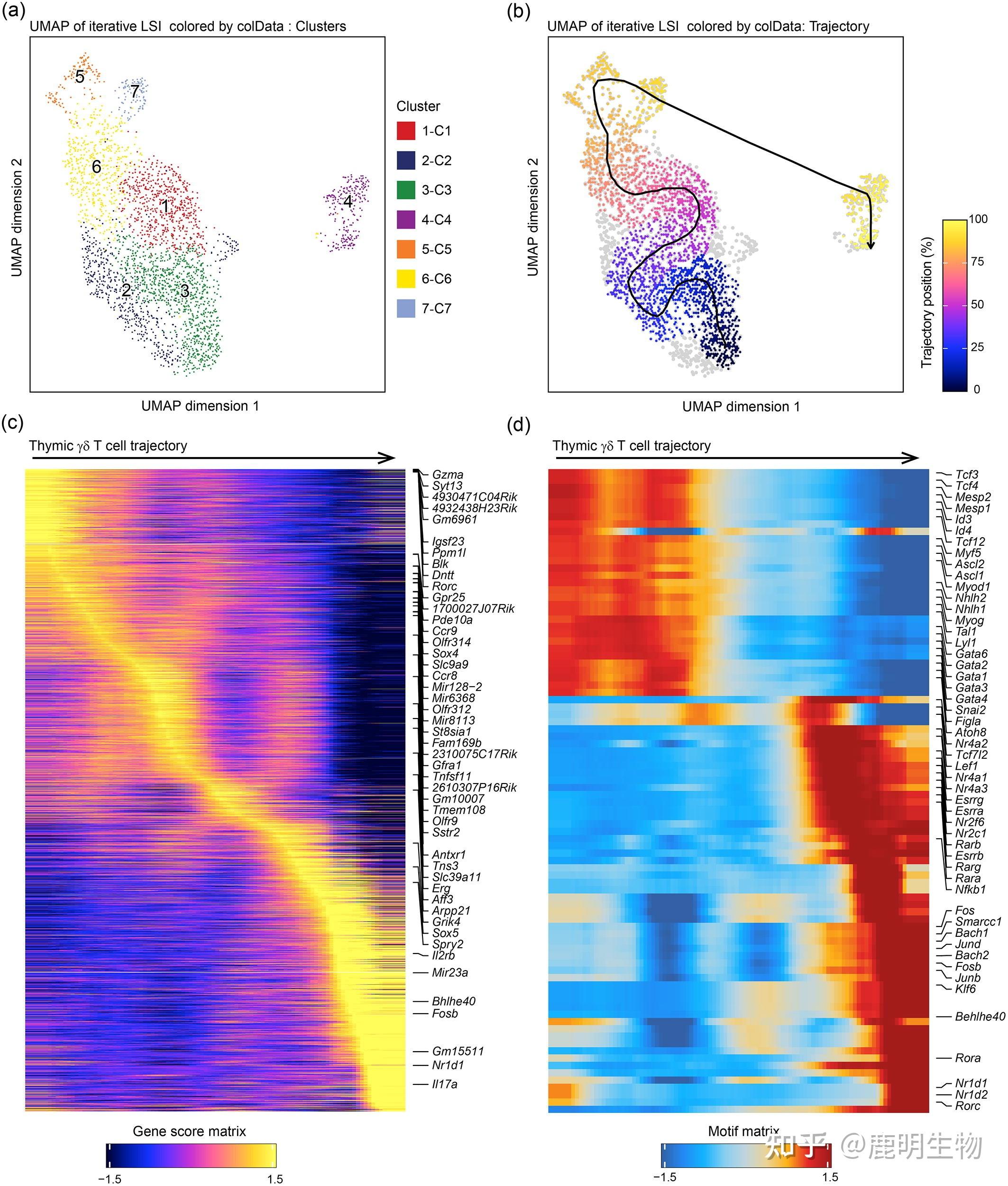 欧易生物单细胞测序助力解析小鼠不同器官γ δ T细胞异质性图谱 - 知乎