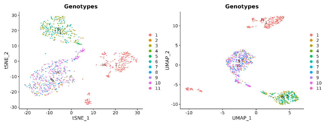 生信分析丨变异分析·单细胞拷贝数变异——Numbat - 知乎