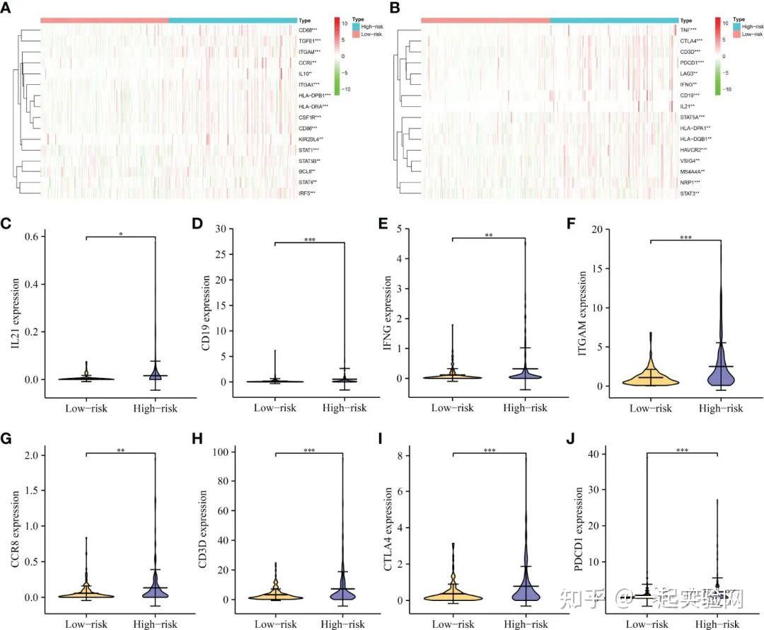 还在做m6A？一起来看看m5C和m1A吧！ - 知乎