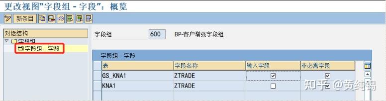 SAP之BP屏幕增强 - 知乎