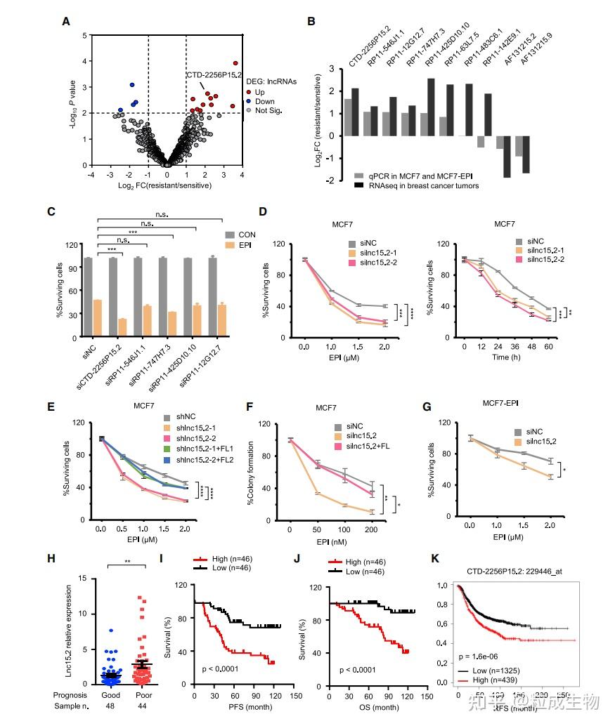 IF: 19.328｜靶向lnc15.2/PACMP，改善癌症治疗临床效益的“新先锋” - 知乎