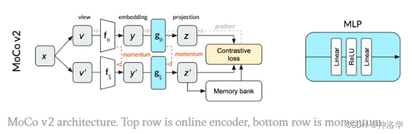 李沐论文精读系列三：MoCo、对比学习综述（MoCov1/v2/v3、SimCLR v1/v2、DINO等） - 知乎