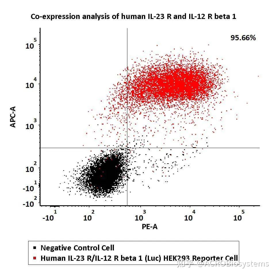 【靶点新势力】IL-23，如何成为自免领域“香饽饽”？ - 知乎