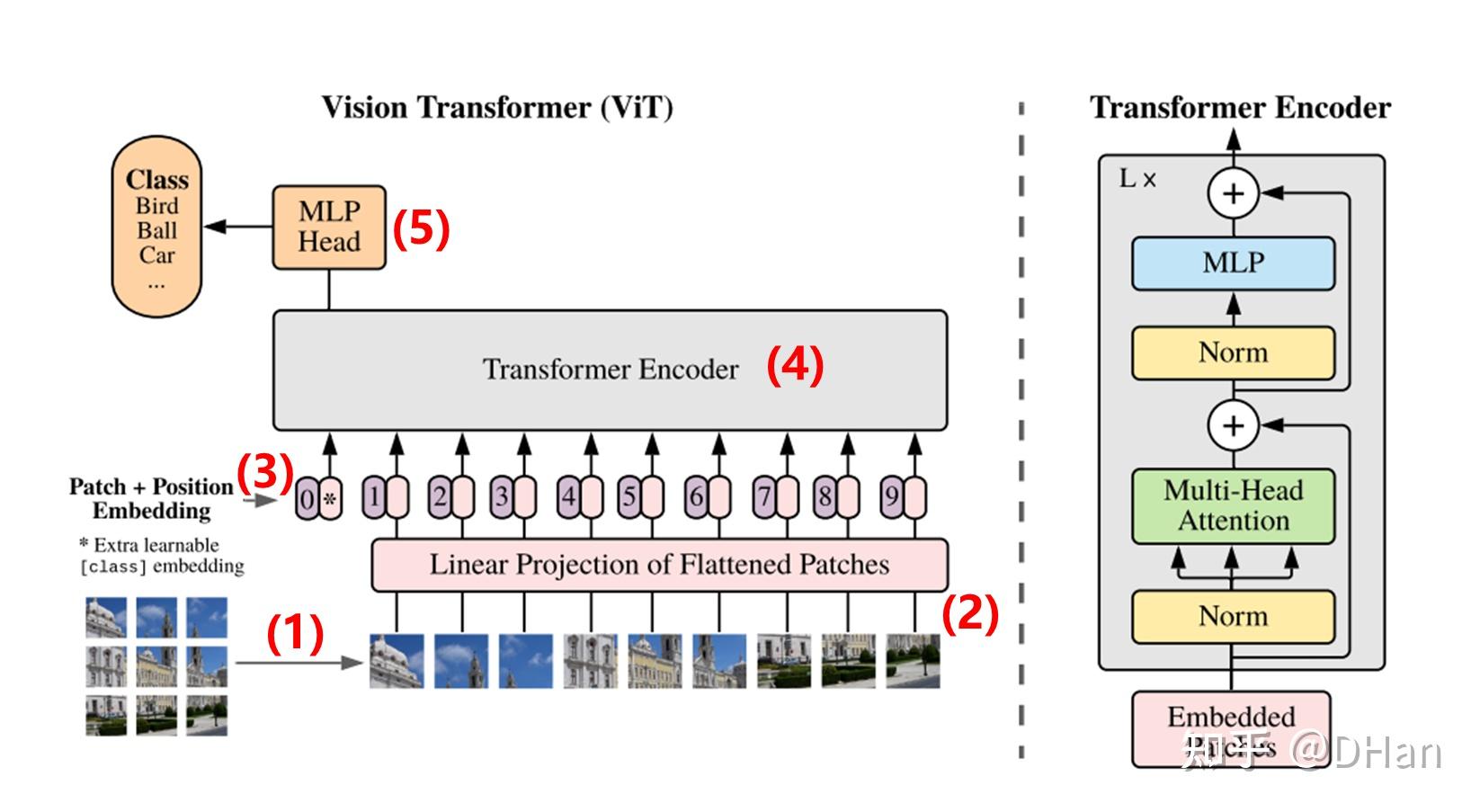 CV Tranformer：ViT论文阅读笔记 - 知乎