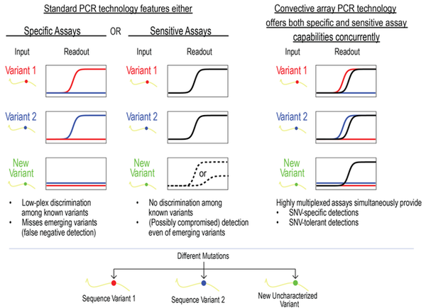 IVD新技术丨快速、多重检测的对流阵列PCR（caPCR） - 知乎