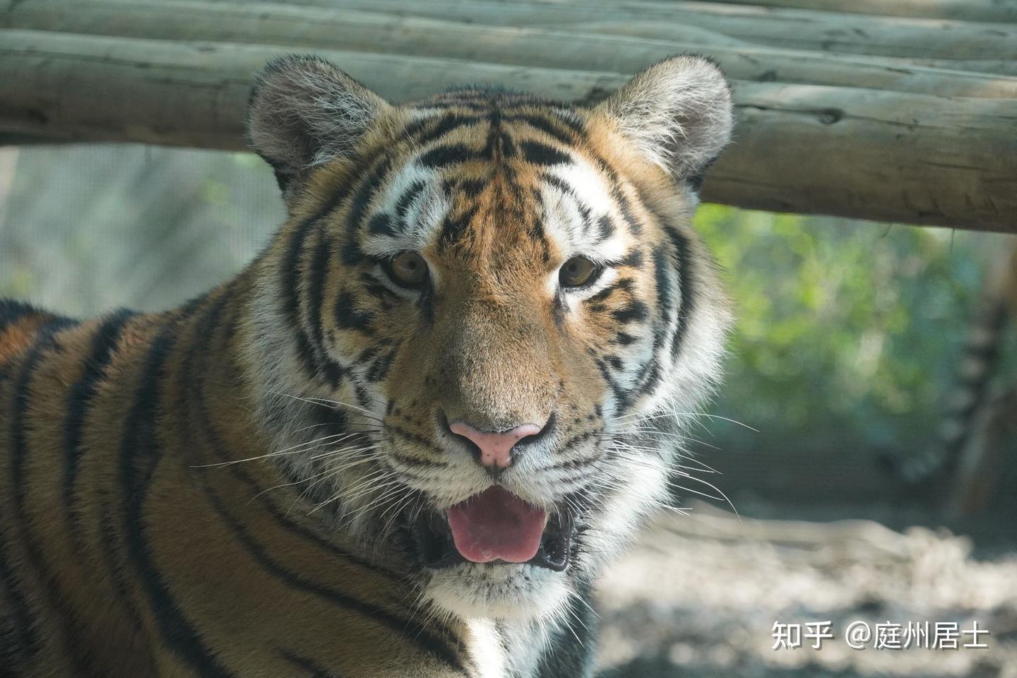 索尼70-350g综合体验(多图) - 知乎