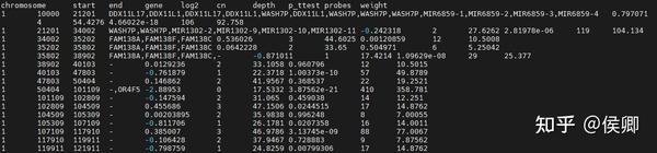 CNVkit、CNVpytor(CNVnator的python版)以及低深度（0.1×-1×）WisecondorX 进行cnv分析 - 知乎