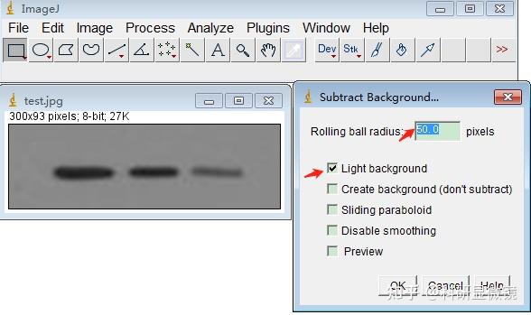 ImageJ惊艳登场！分分钟搞定WB条带灰度分析（内含免费软件包） - 知乎