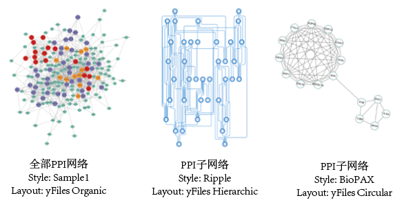 组学数据分析实操系列 | （五）蛋白互作网络分析（STRING + Cytoscape） - 知乎