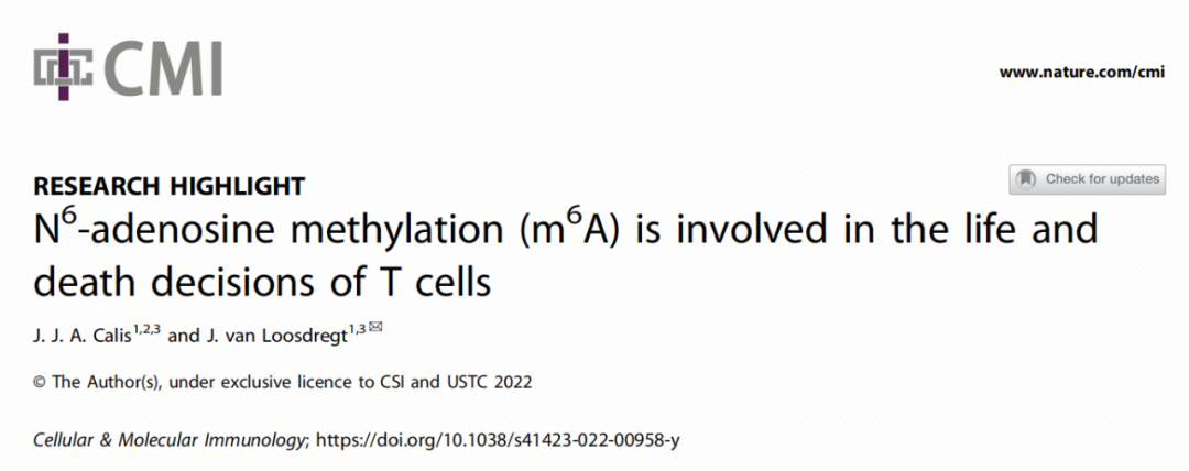 Cell Mol Immu | N6-腺苷甲基化(m6A)参与T细胞的生死决定 - 知乎