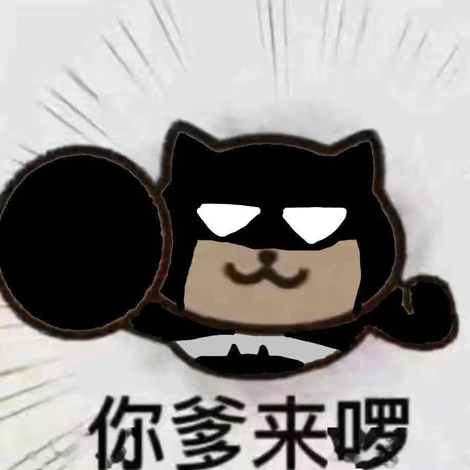 【摇人，你全家来啰】系列一猫人表情包 - 知乎