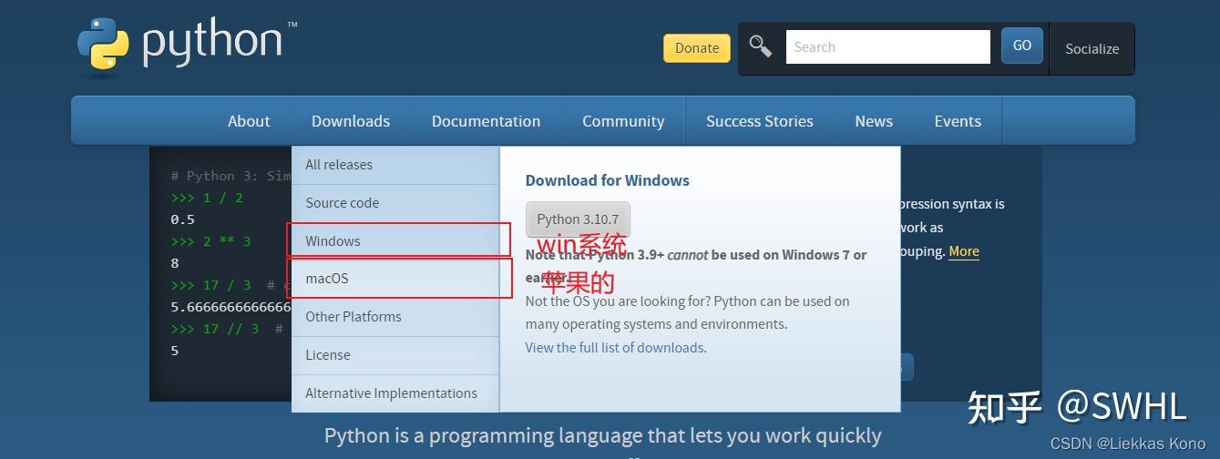 [RapidVideOCR周边] RapidVideOCR保姆级教程（从小白到上手使用） - 知乎
