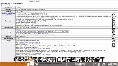 IPEC-J2细胞培养，猪正常肠上皮细胞培养攻略 - 丰晖生物 - 知乎