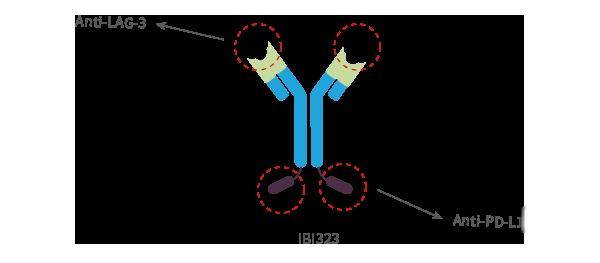 靶点科普：LAG-3，下一个风口？ - 知乎