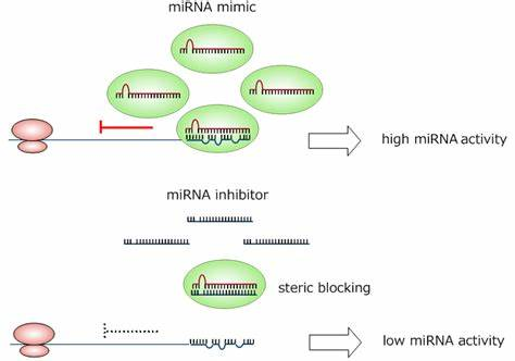 关于miRNA的那些概念 - 知乎