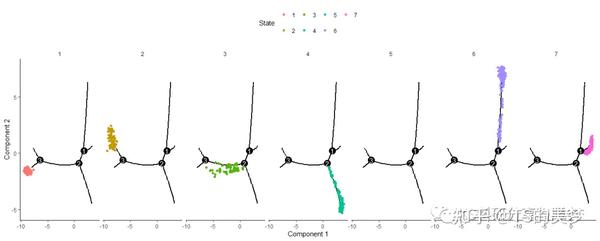 跟着Cell学单细胞转录组分析(十):Monocle2拟时分析演示之结果可视化（下） - 知乎