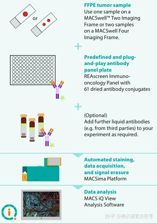 蛋白质组学实验怎么做？——美天旎泛癌种预制化panel助力空间组学快速起步 - 知乎