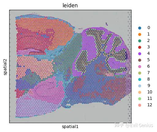 通过空间行为（optimal transport）推断空间细胞间通讯信号方向(COMMOT) - 知乎