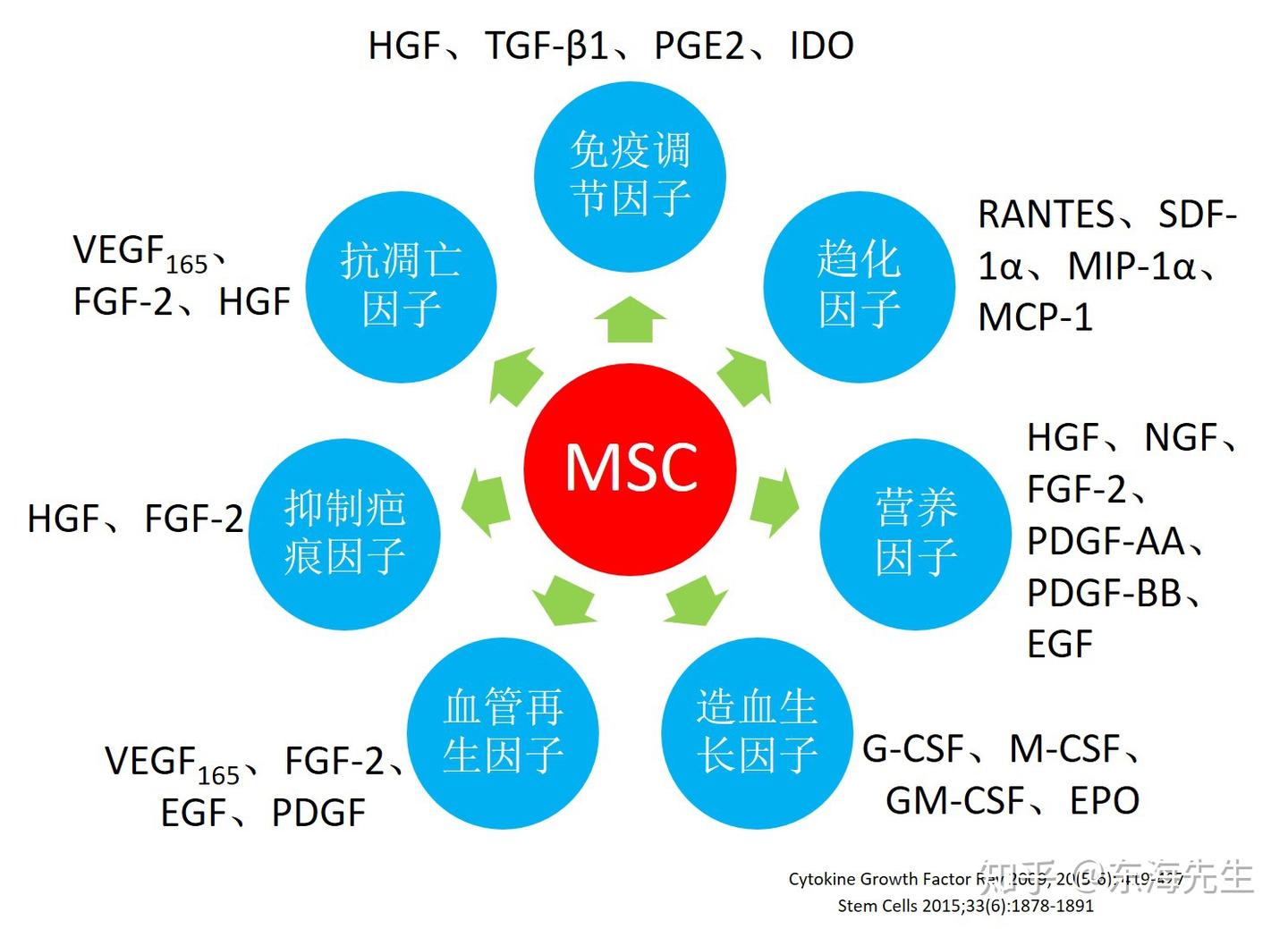 长文分析MSC的功能特性和临床挑战 - 知乎