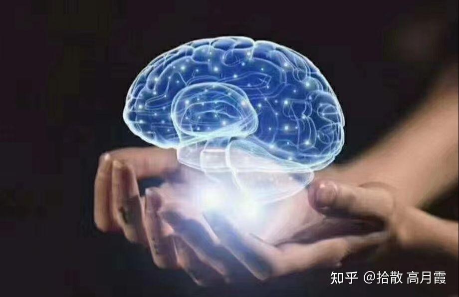 什么是BCST生物动力疗愈？ - 知乎